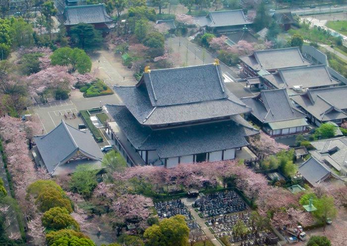 10 Days Japan Spring Tour (Sakura Cherry Blossom Tour)